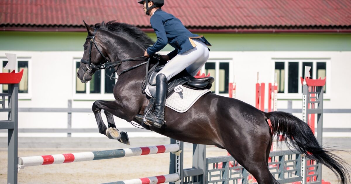 Complete HA | Riaflex